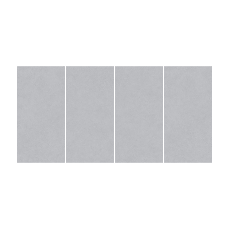 Pastel Grey - PT 612B120-06 SWISH Tiles | SWISH